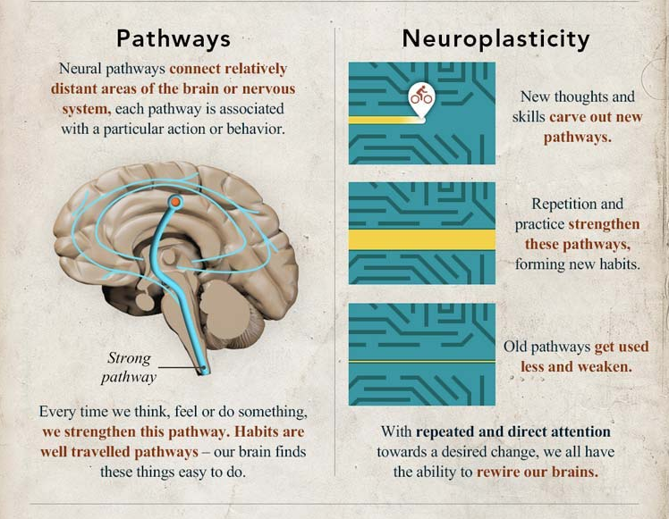 Change the brain chemistry of your mental illness - The HeartStruggle
