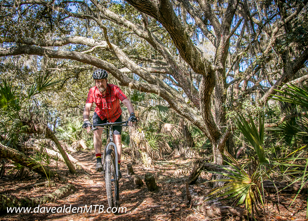 Balm Boyette Scrub Preserve Mountain Bike Trails, Lithia, Florida