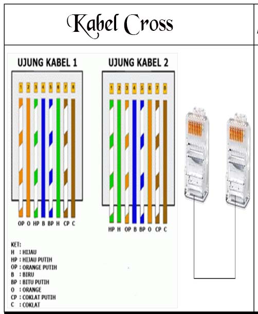 Urutan Warna Kabel Lan Untuk Tipe Straight Dan Cross | Ide Perpaduan Warna