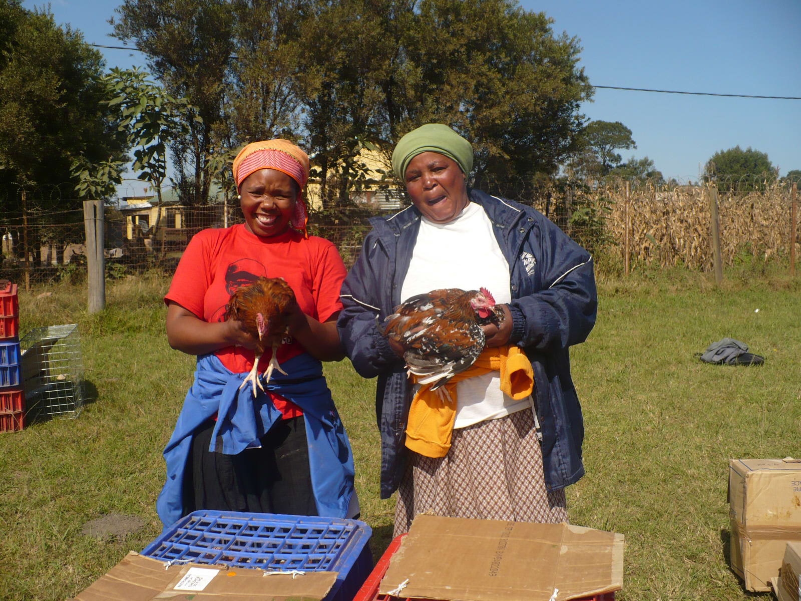 SUKUMA PEOPLE: TANZANIA`S LARGEST TRIBE WITH UNIQUE BUGOBOBOBO (SNAKE ...