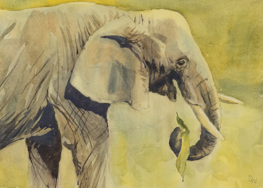 David Webb Art: 2018