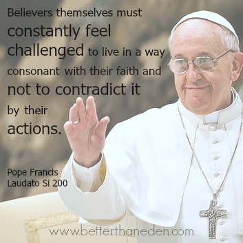 The Quotes I'm Loving From Laudato Si - Mary Haseltine