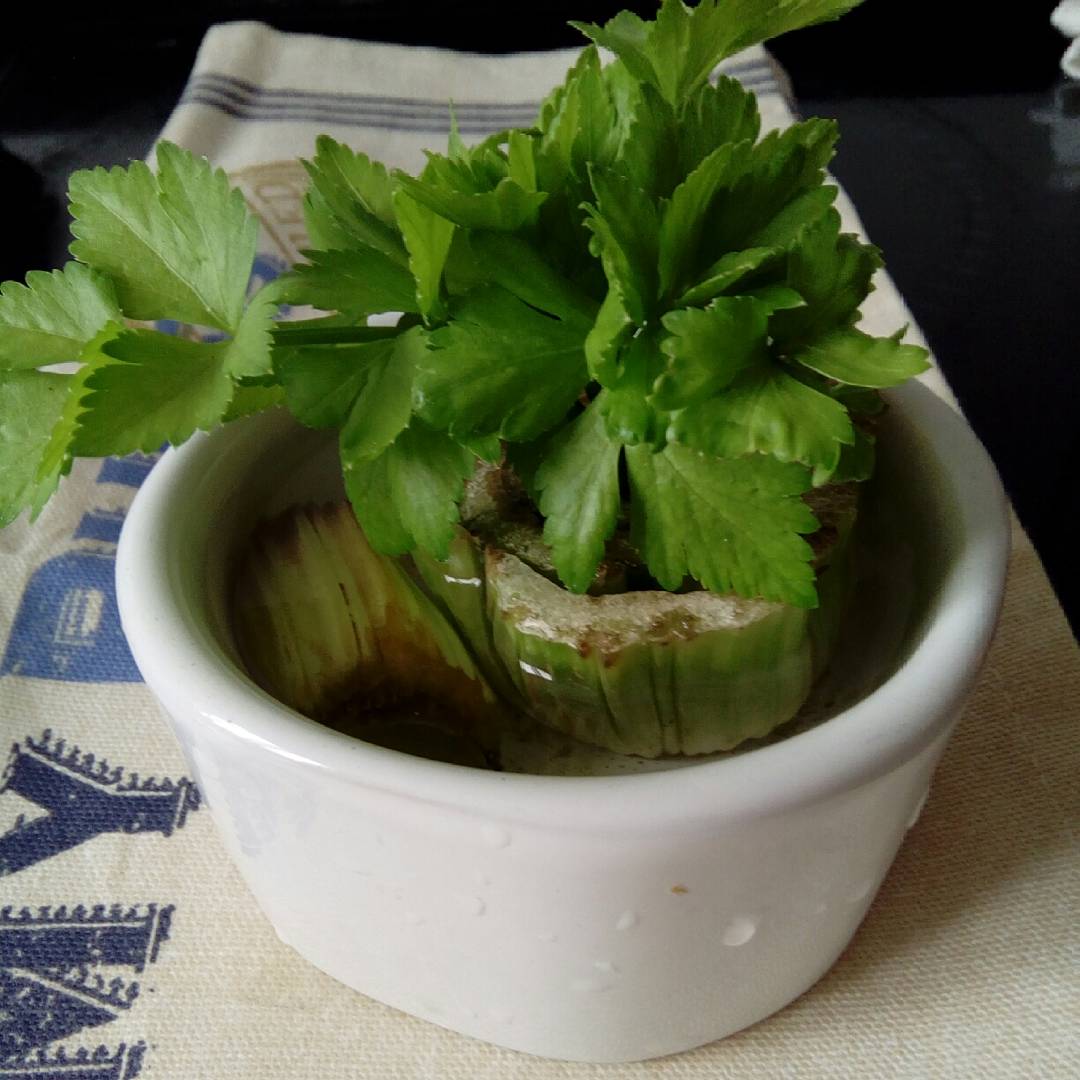 Eni's Kitchen: El Apio y como aprovechar cada parte de la planta ...