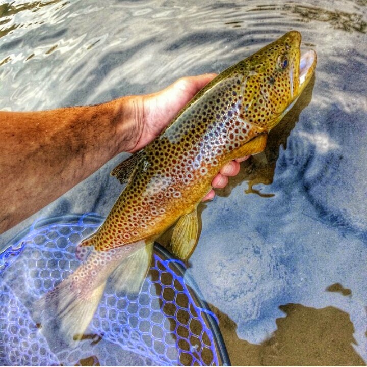 Streamer Fishing ~ Keystone Fly Fishing