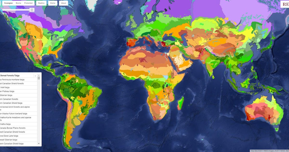 World Ecoregions & Biomes