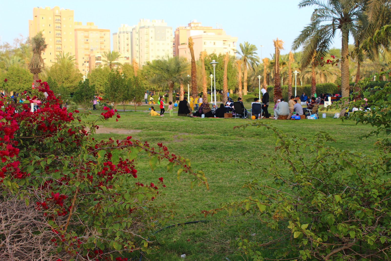 Kuwait Uncensored: Park Life- Human Nature?!