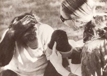 Washoe and Koko: the Use of Sign Language with Primates