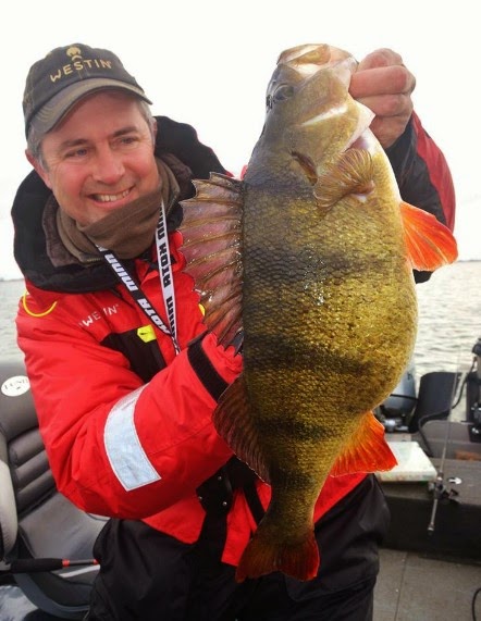 International Fishing News: HOLLAND: caught a 2.7 kg record size perch