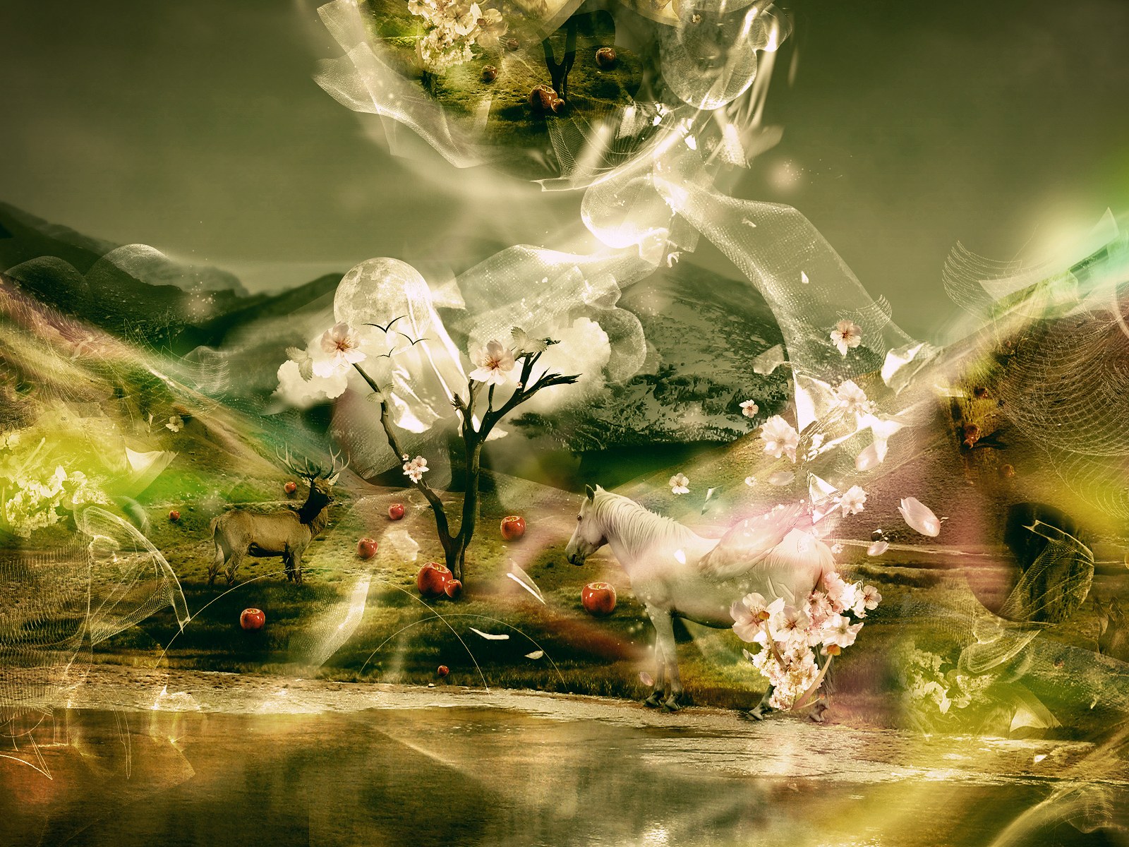 Weird Wallpapers: Lot of HD Weird of weird wallpapers