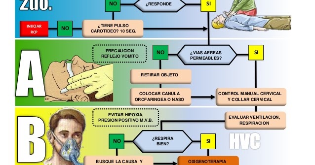 PRIMEROS AUXILIOS: 7. EVALUACIÓN PRIMARIA