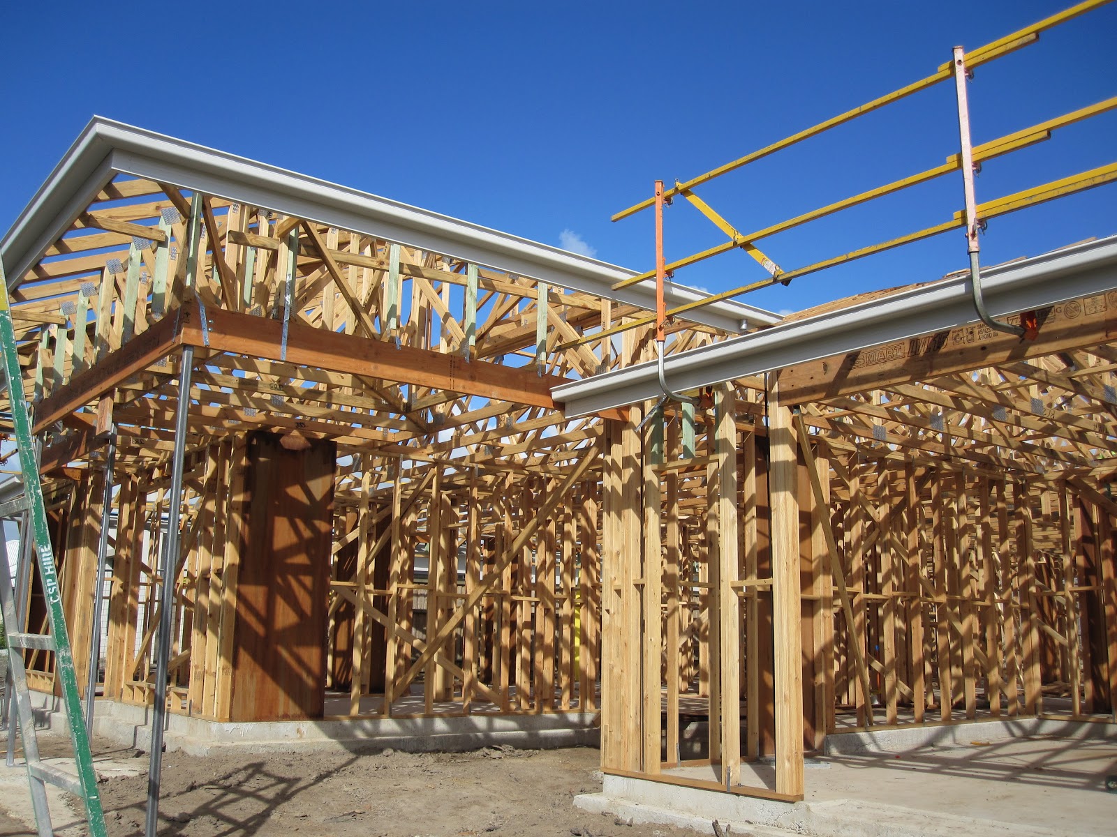 Going Coastal: Noggin & Roof ready