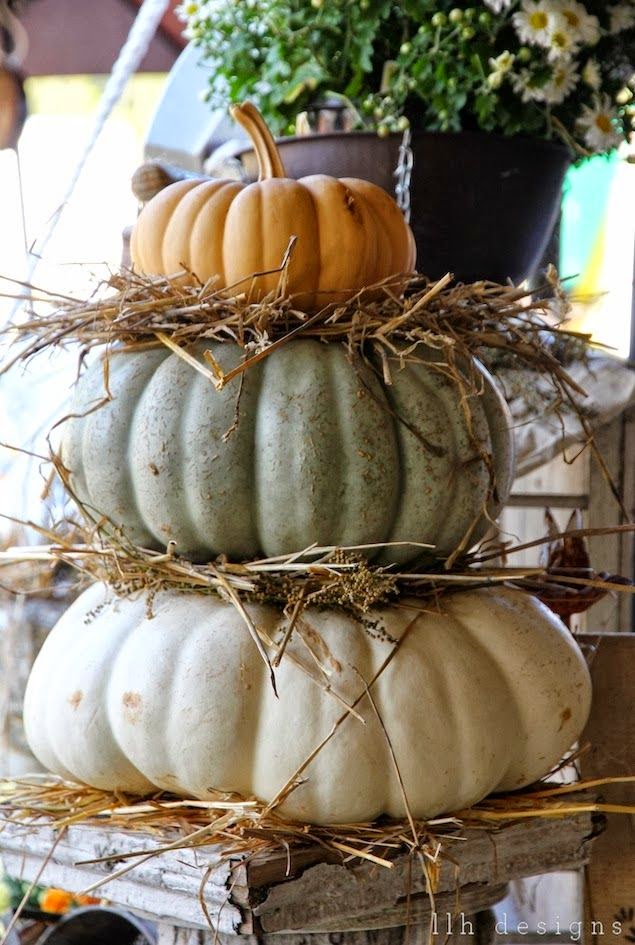 ARATORP: Duka fram hösten!