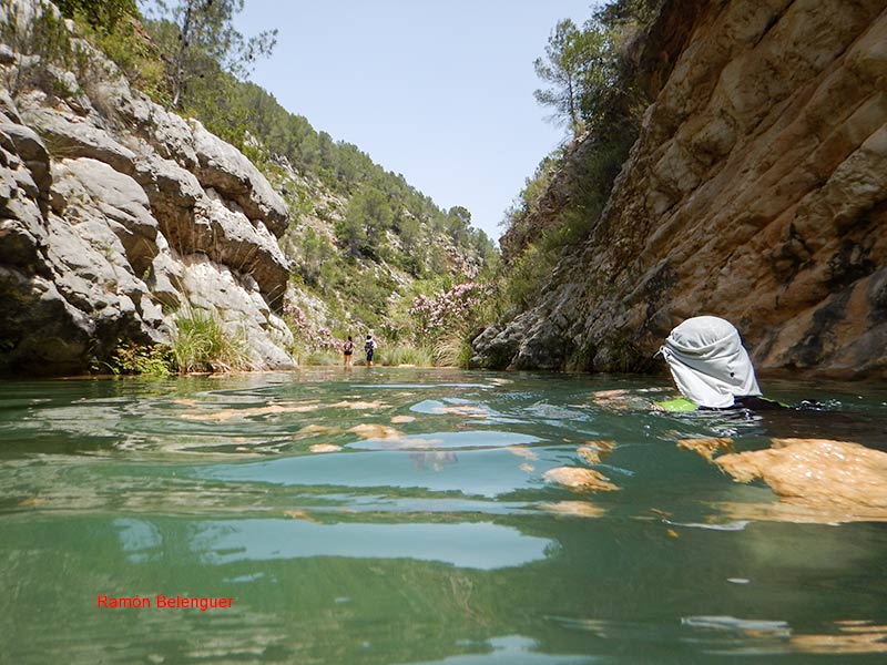 BICHOS Y MAS VLC: DE PASEO POR El RÍO FRAILE MENOS CONOCIDO