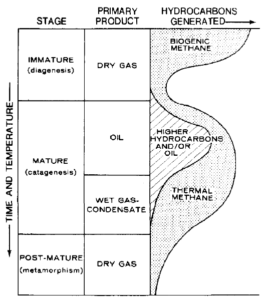 What is Biogenic Gas? - Widia's Sojourn