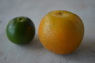 Philippine Culture and Surprises: Best Calamansi Photos