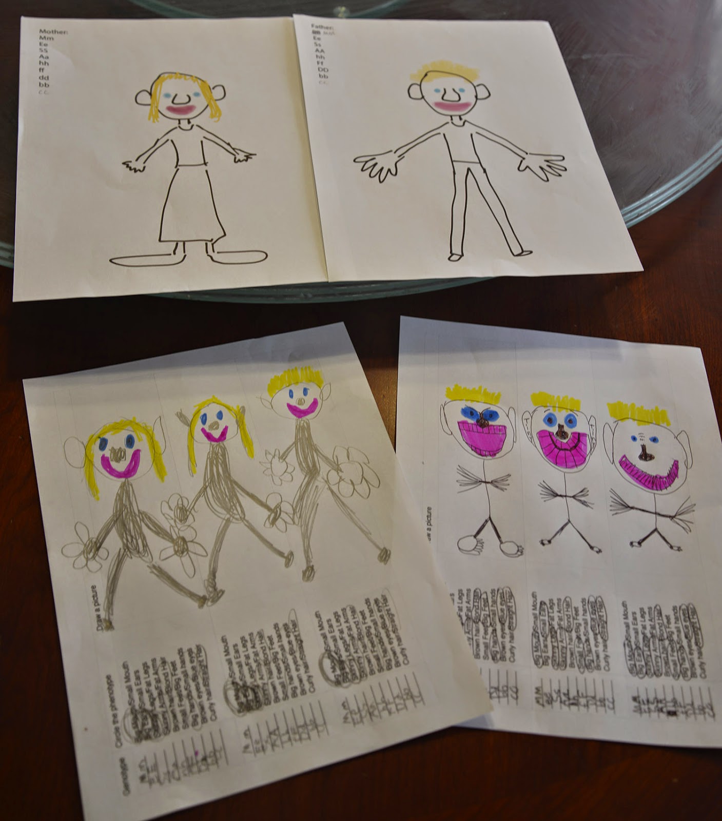 Genotype And Phenotype For Kids