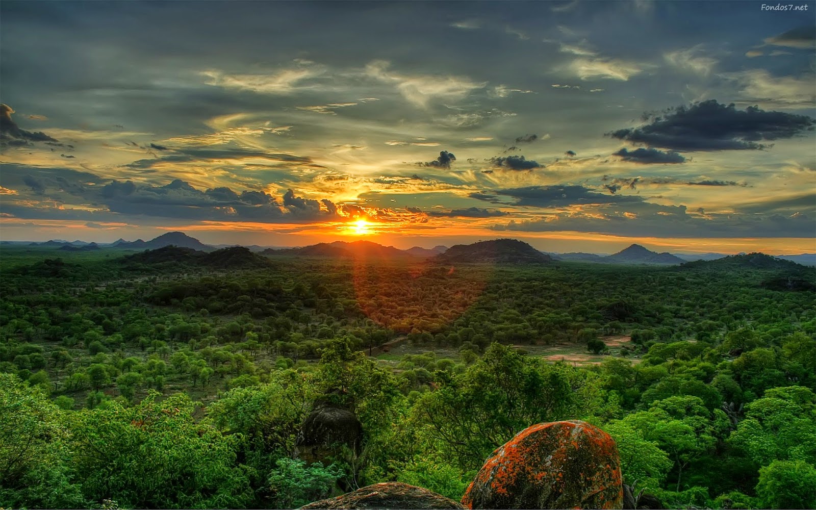 Wallpapers Selva Full HD - Fondos De pantallas(Wallpaper)