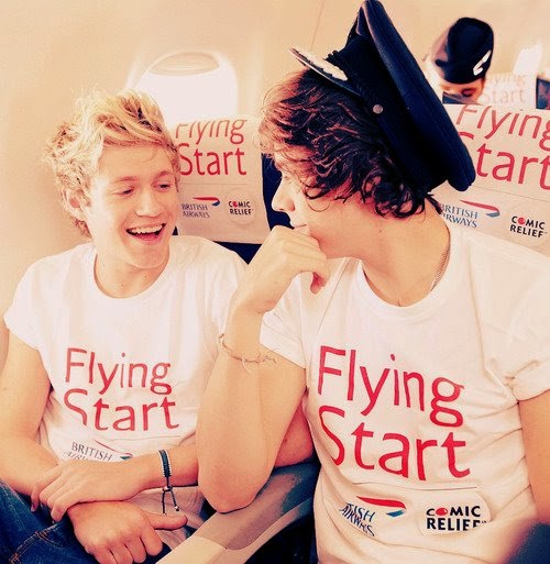 TVDIRECTIONER: Momentos Narry