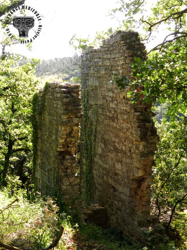 LA FRANCE MEDIEVALE: SABRAN (30) - Château-fort