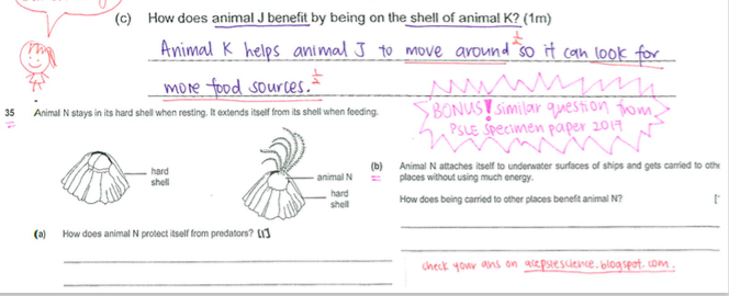 Answers to PSLE Questions