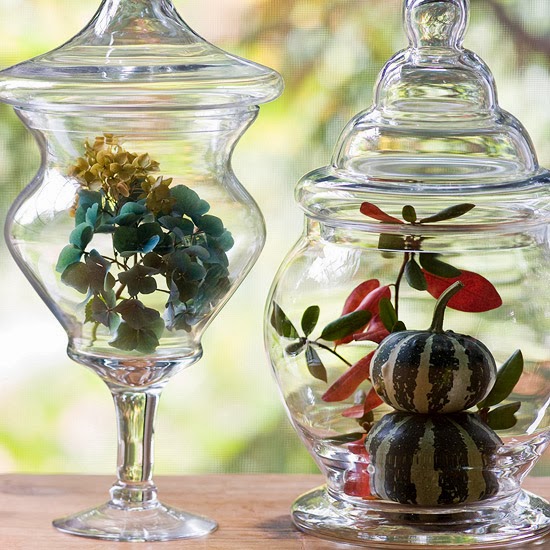 Northern Nesting: Pumpkins & Gourds