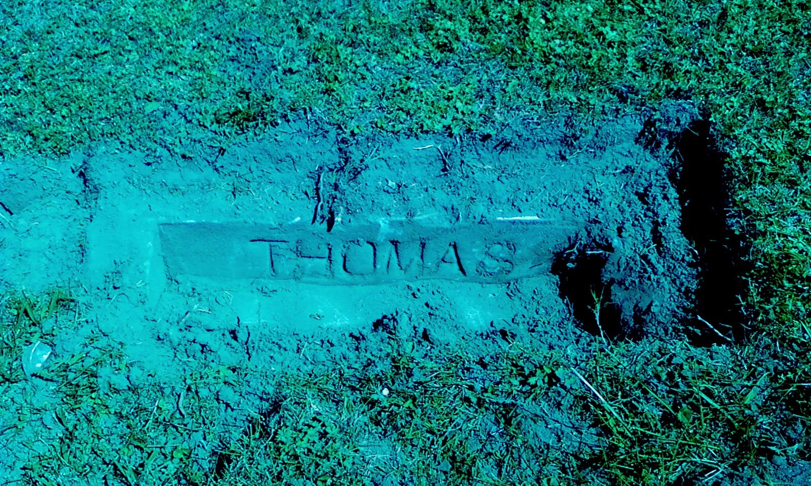 Into the LIGHT: Tombstone Tuesday - Perseverance PAYS!