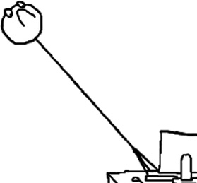 Long Neck Computer Memes