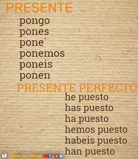 Learning Zone Languages: Spanish Poner Verb Conjugations