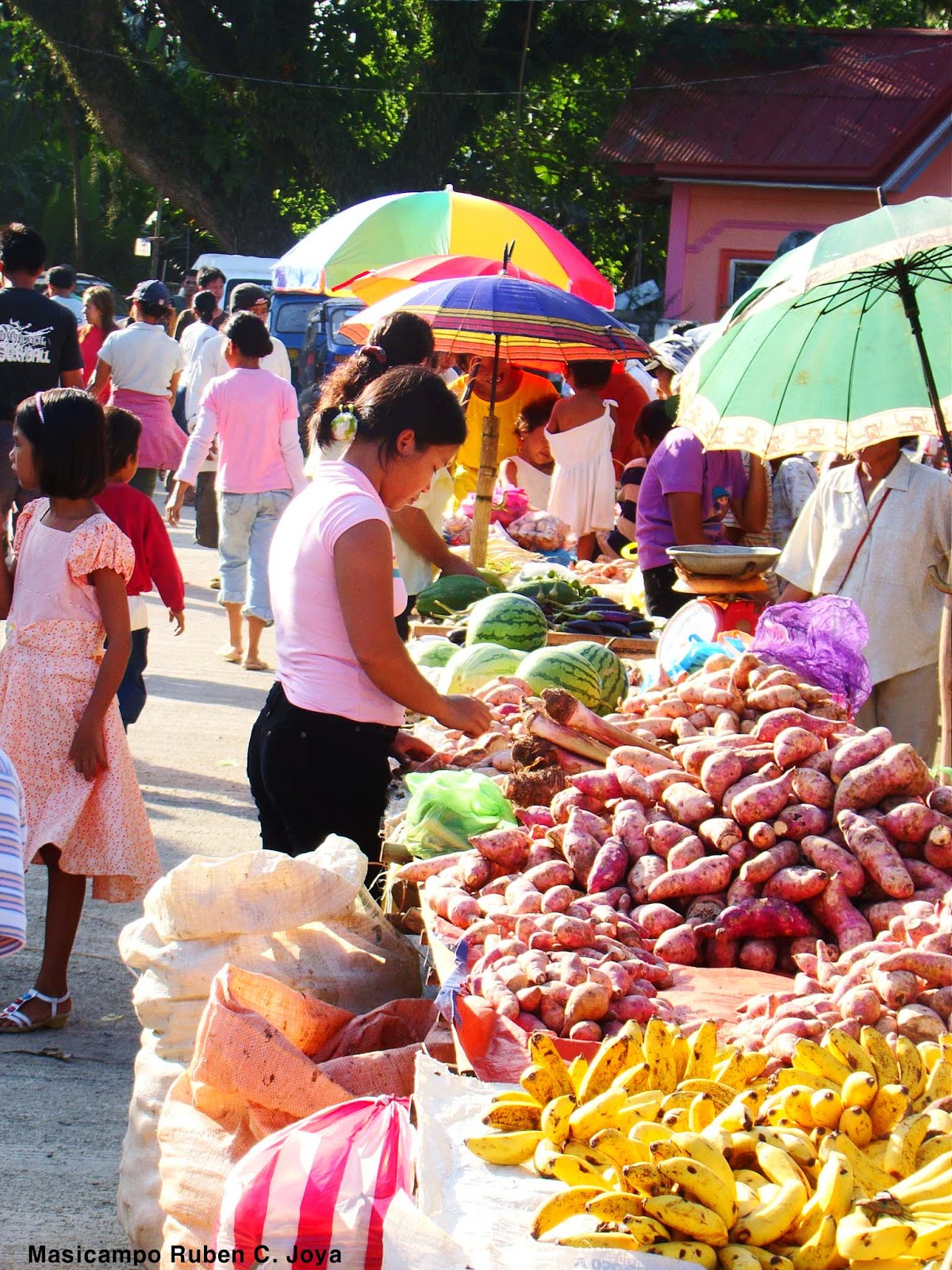 tagbanua - philippin news collections