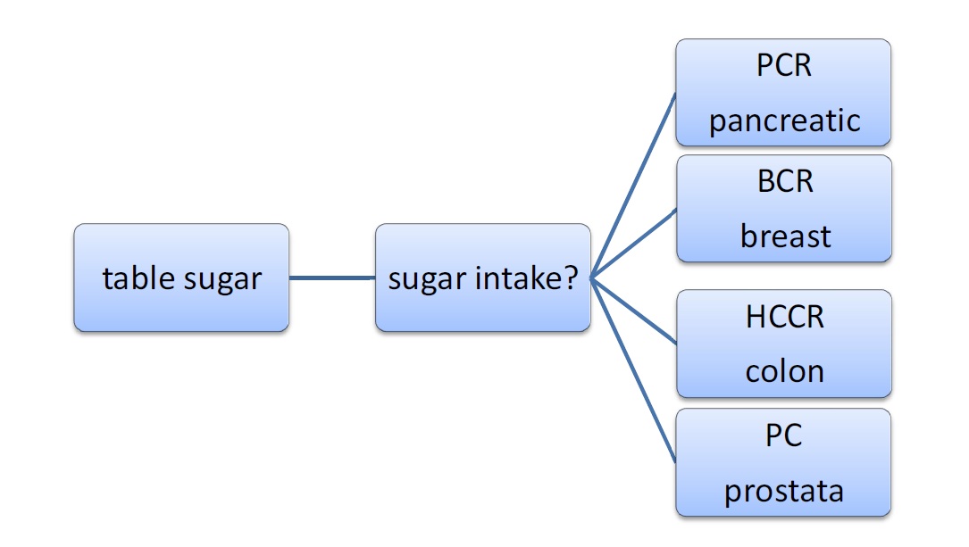 World of Science Life Education: Risk of cancer and Table sugar