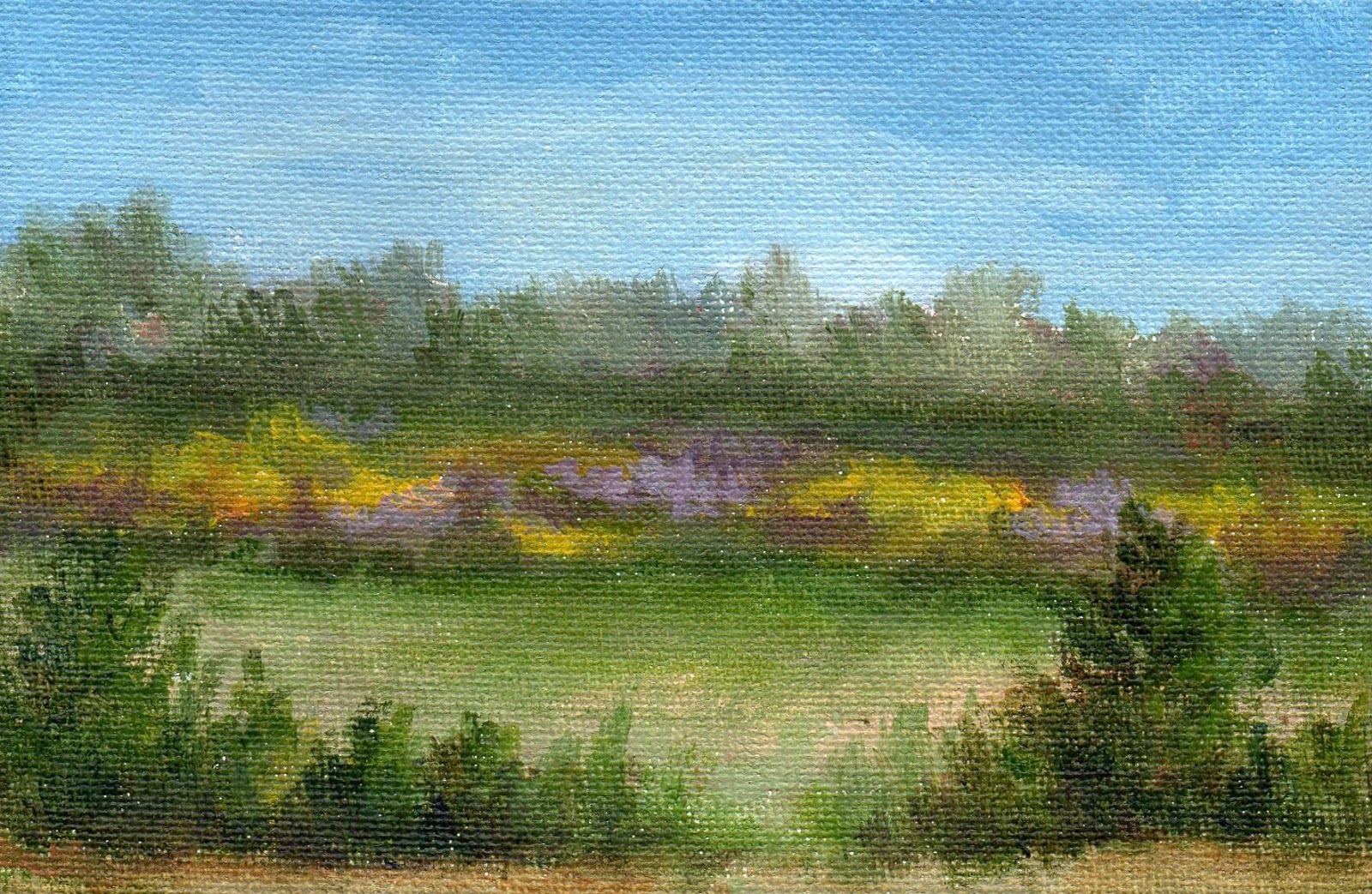 Debbie Shirley Art: Day 14 - Small Field Landscape Painting