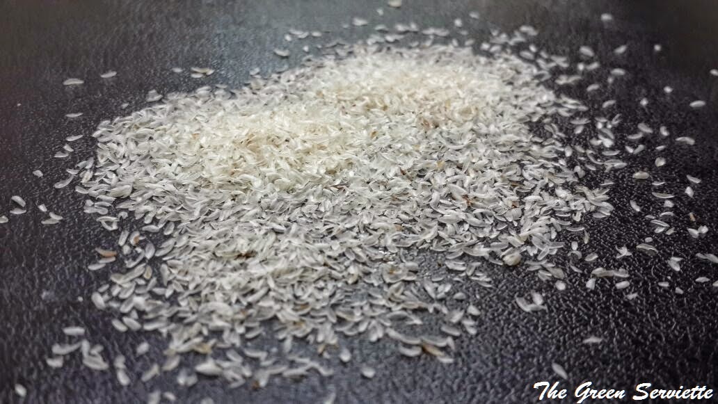 The Green Serviette: Isabgol