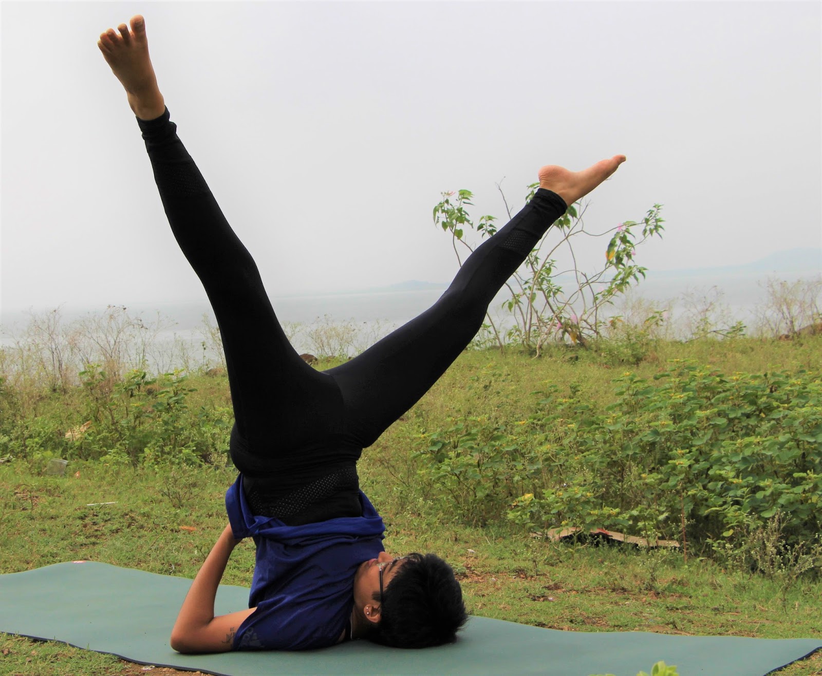 TRADITIONAL YOGA EASY: 2017