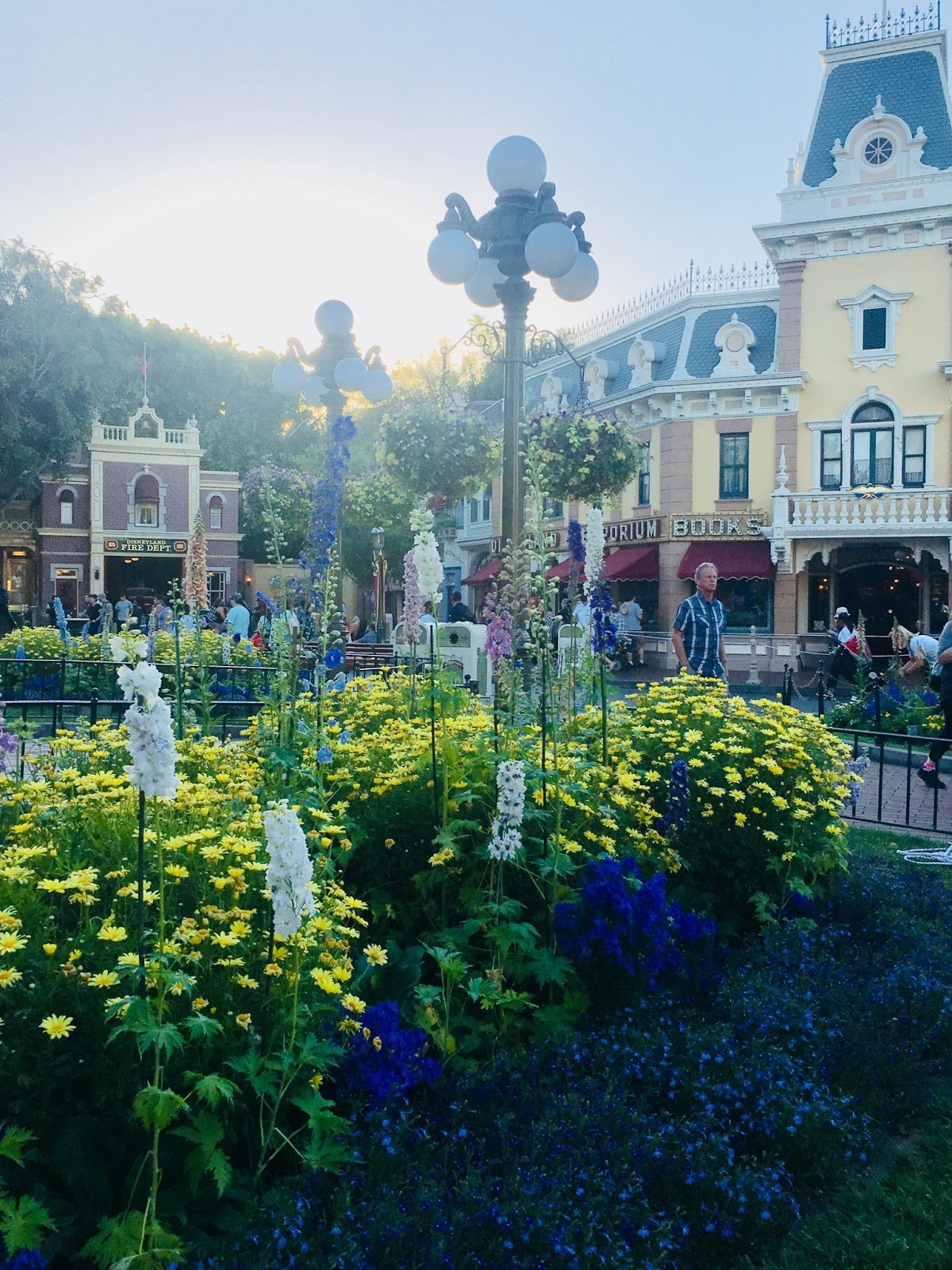 My Musings: Disneyland in the Spring