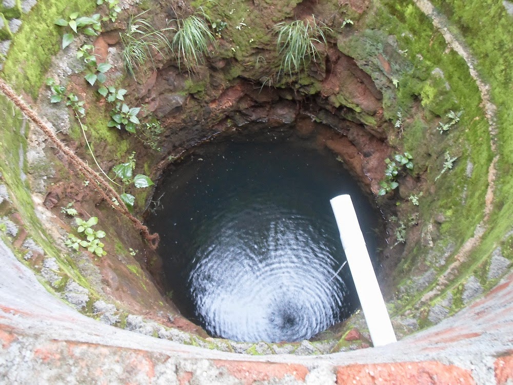 My Experiments With Farming: Recharging open well