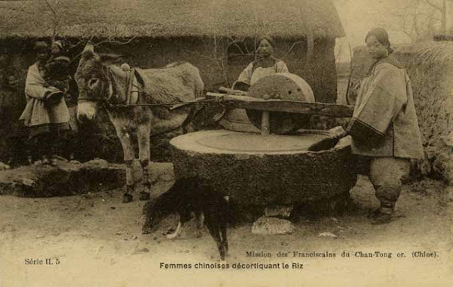 The Global Miller: 04/01/2016: Rice Milling around the World: early ...