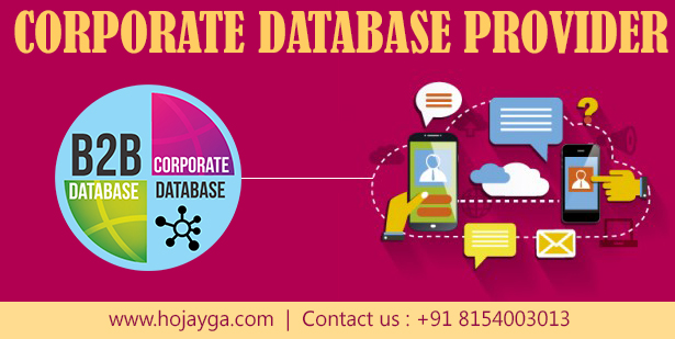 CORPORATE DATABASE