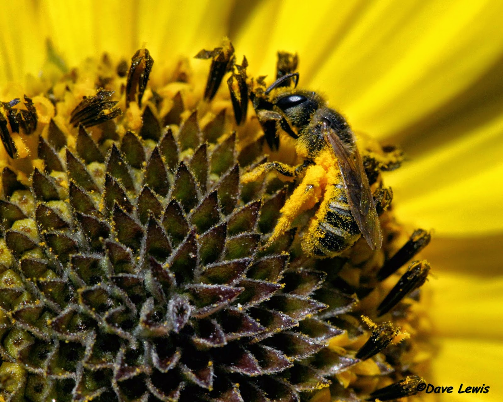 Birds from Behind : 08/01/2014 - 09/01/2014