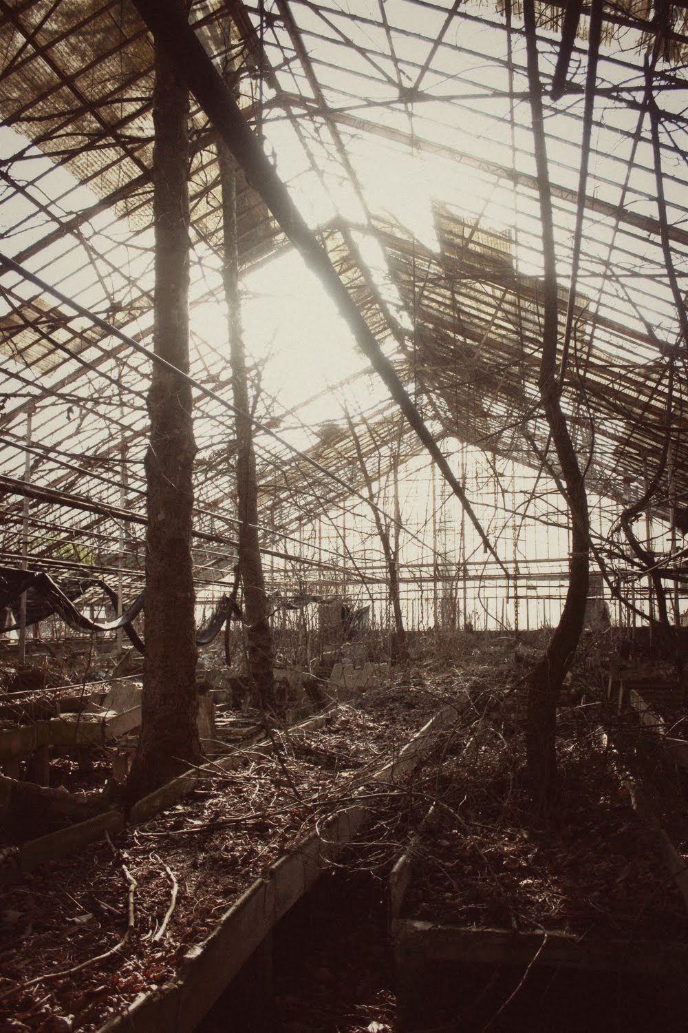 flores del sol: my hidden abandoned greenhouse adventure