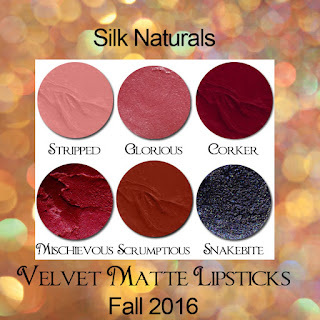 Silk Naturals Mineral Makeup: Fall is Live!!!!