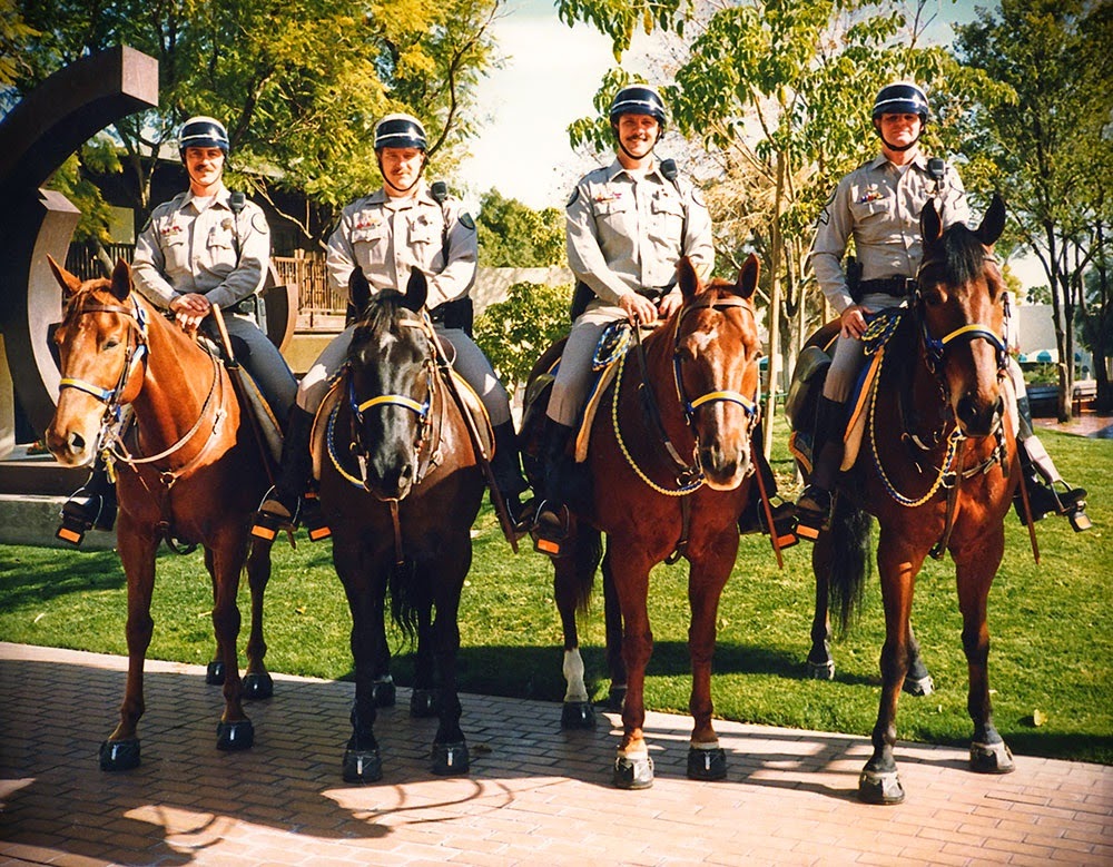 Life In the Desert: Police horses around the world...