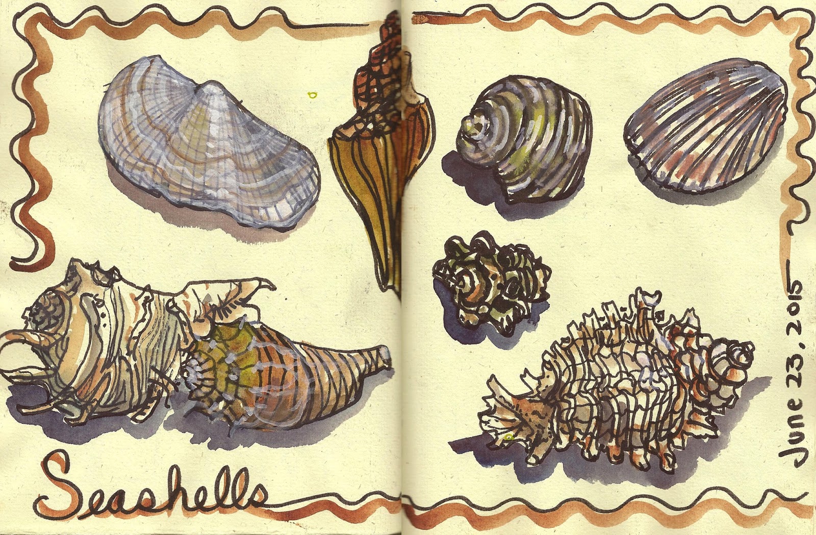 Jan Blencowe's Sketchbook Hypothesis: She Sells Sea Shells