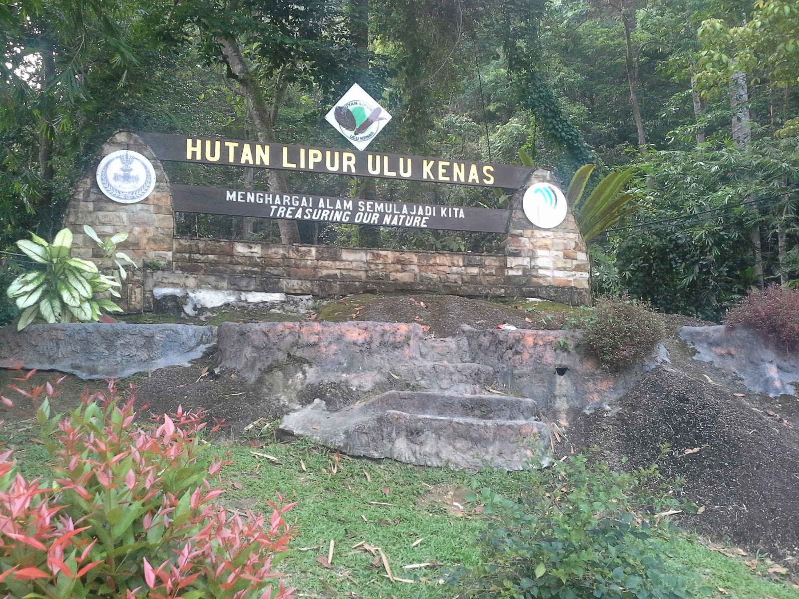 SriRasa BiDara: HUTAN LIPUR ULU KENAS, KUALA KANGSAR