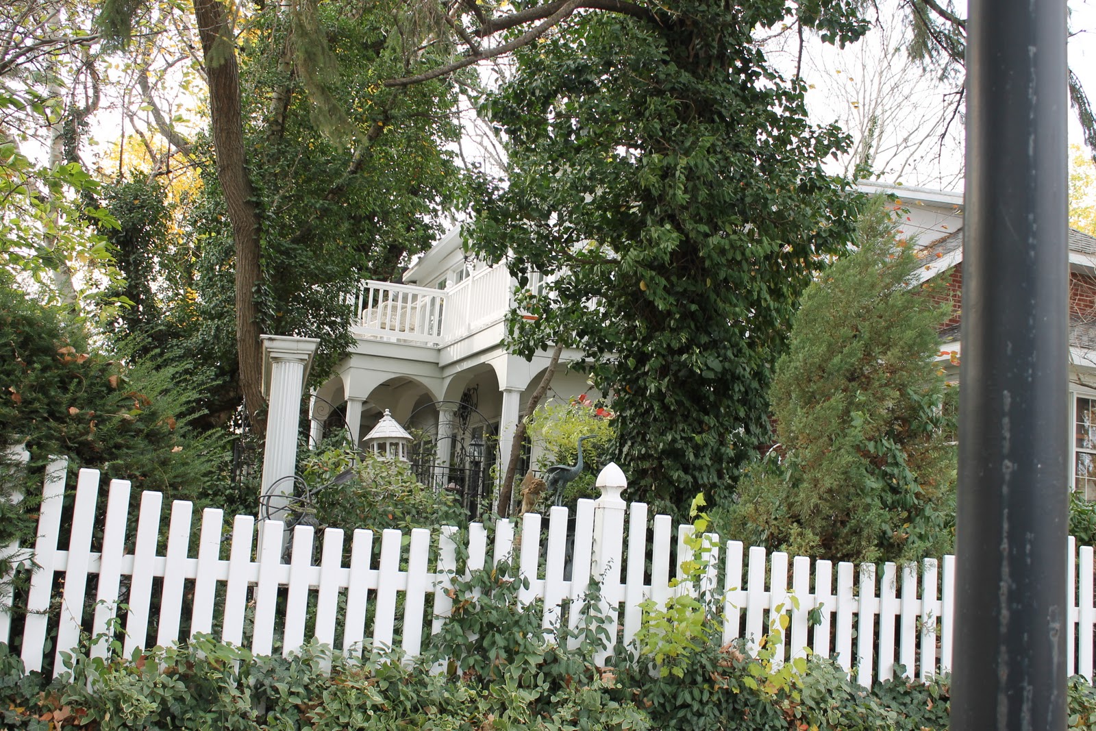 Janie Fox talks: Unexpected Blessings