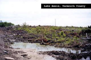 Forestry-Clear Cutting!: Clear Cutting vs. Forest Fires--are the ...