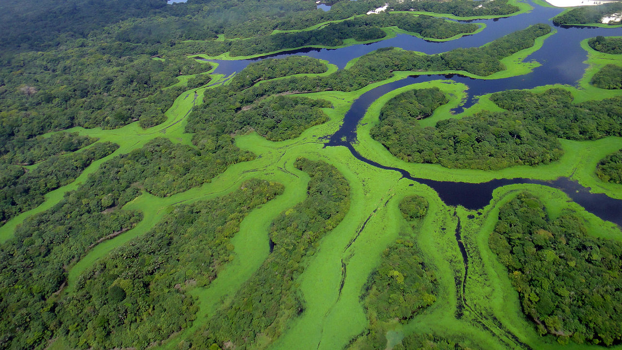 Parque Nacional da Amazônia | AM/PA