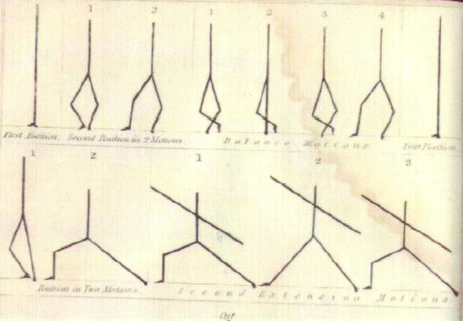 Victorian Fencing Society: 2015