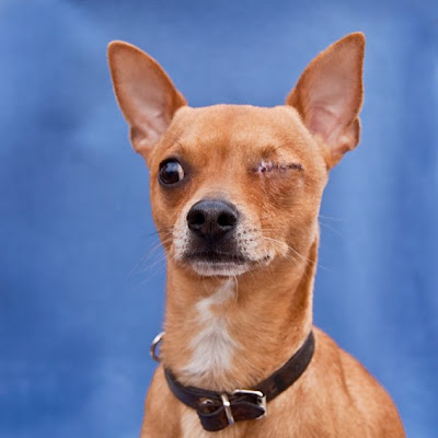 La Cámara de Sandora: marzo 2011