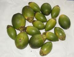 Khasiat Buah Pinang | Manfaat Buah Pinang - Cara Membuat Jus