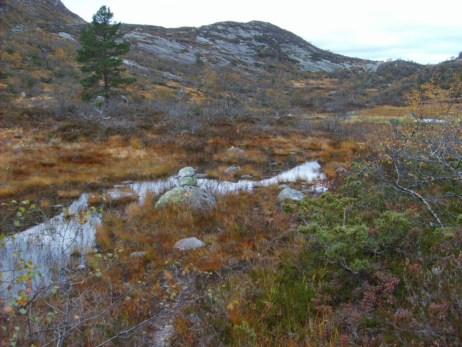 grápson ὃ βλέπεις γράψον εἰς βιβλίον: På gamle tufter i Salmeli